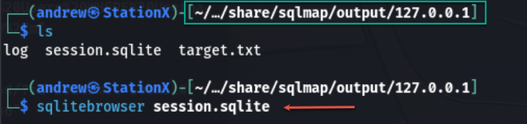 Blind Sql Injection An Experts Guide To Detect And Exploit