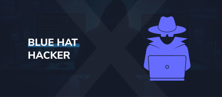 What Is a Blue Hat Hacker? Brief History