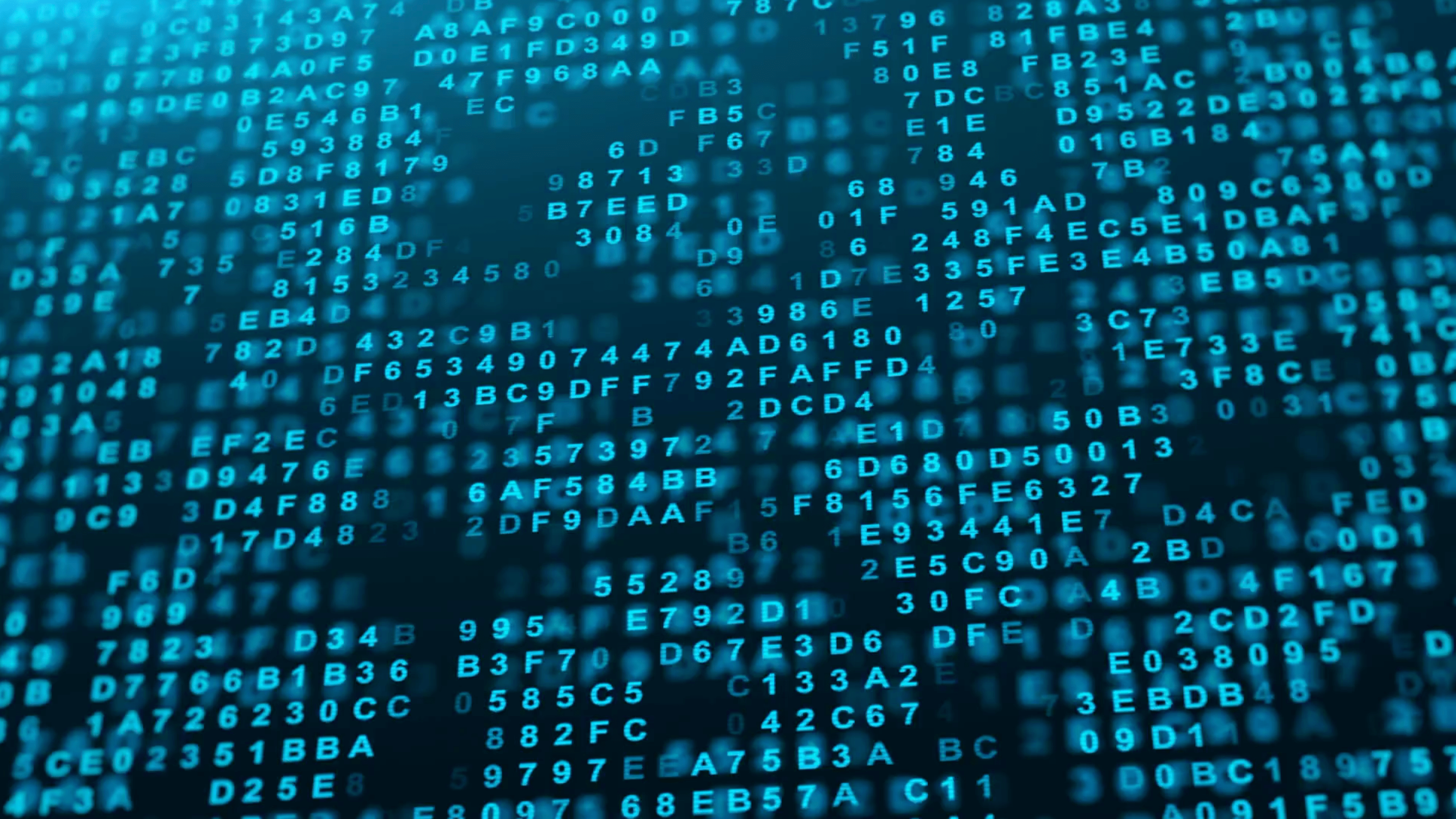 Can You Get a Cyber Security Job Without a Degree in 2025?